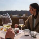 A Journey Into Wines Tastes and Aromas - An Authentic Wine Experience in Veneto