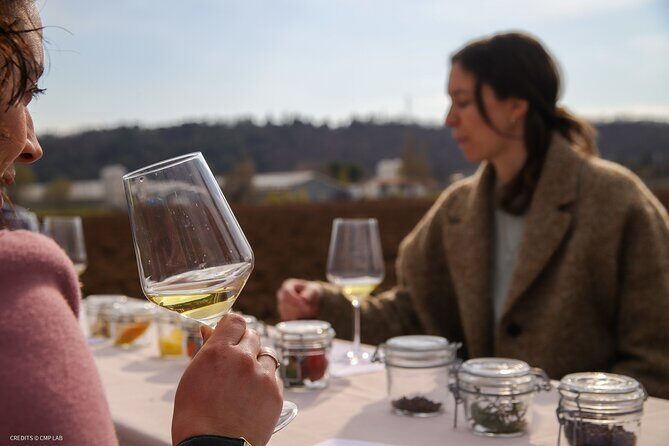 A Journey Into Wines Tastes and Aromas - An Authentic Wine Experience in Veneto