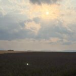 A provençal picnic at sunset in the lavender fields - Why This Tour Offers Value