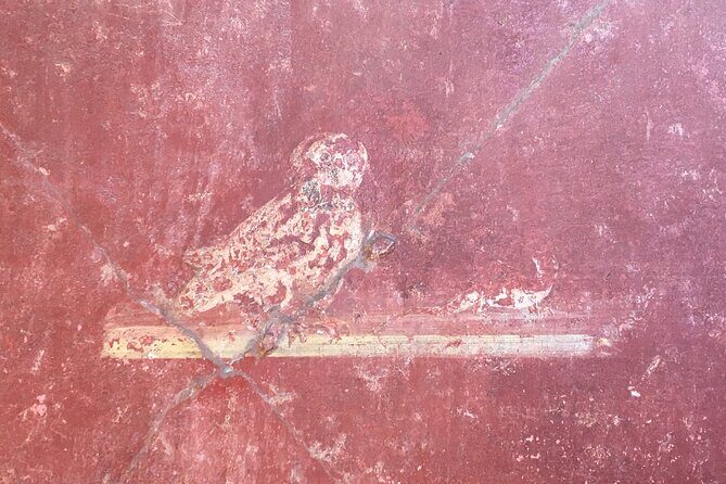 A Taste of Pompeii Archaeological Park from your Home - A Practical Look at the Details