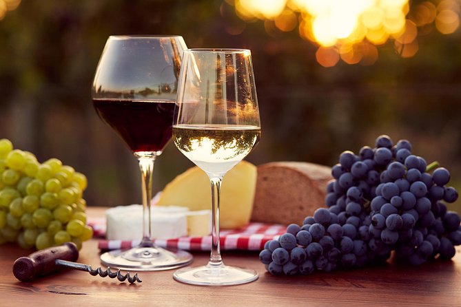 A world of wine-tasting in Nemea - Key Points