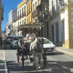 ab Marbella: Private VIP-Tour Ronda incl. Transfer + Tapas - Why This Tour Is Worth It