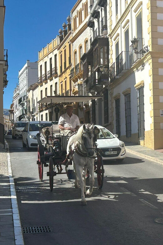 ab Marbella: Private VIP-Tour Ronda incl. Transfer + Tapas - Why This Tour Is Worth It
