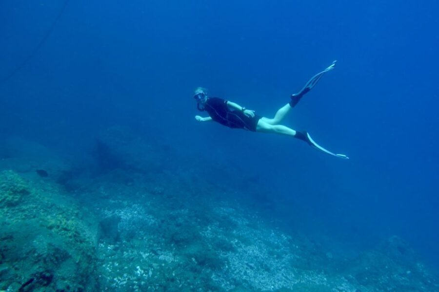 Abades: Guided Snorkeling Tour with Photos - What to Expect on the Tour