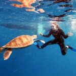 Abades: Tenerife Turtles and Rays Snorkeling Trip - Itinerary Breakdown: What to Expect