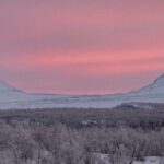 Abisko National Park: Scenic Morning Hike with Transfer - A Close Look at Abisko’s Morning Hike Experience