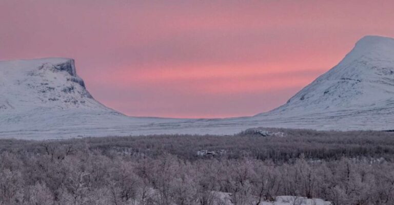 Abisko National Park: Scenic Morning Hike with Transfer - A Close Look at Abisko’s Morning Hike Experience