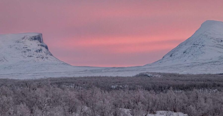 Abisko National Park: Scenic Morning Hike with Transfer - A Close Look at Abisko’s Morning Hike Experience