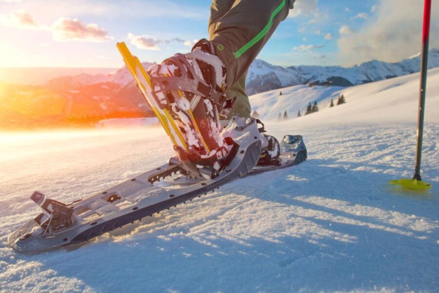 Abisko: Wilderness Snowshoe Hike - Authentic Experiences and Traveler Feedback