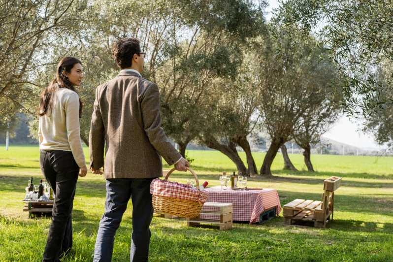 Abruzzo: Country Picnic in an Olive Grove at a Winery - Final Thoughts