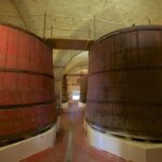 Abruzzo: Historic Cellar Wine Tour and Tasting - Why This Tour Stands Out