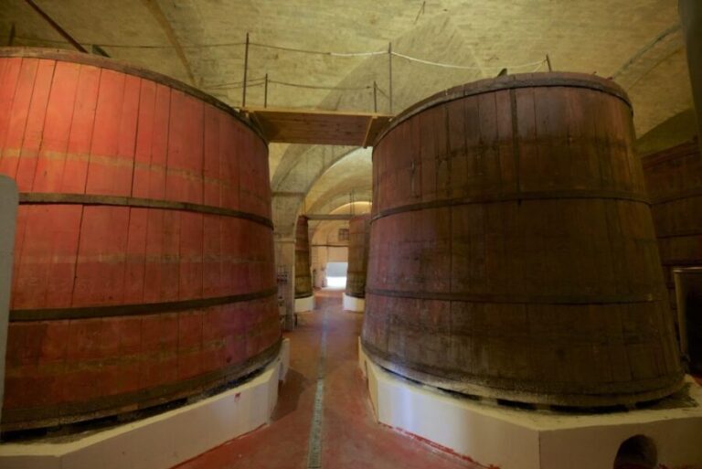 Abruzzo: Historic Cellar Wine Tour and Tasting - Why This Tour Stands Out