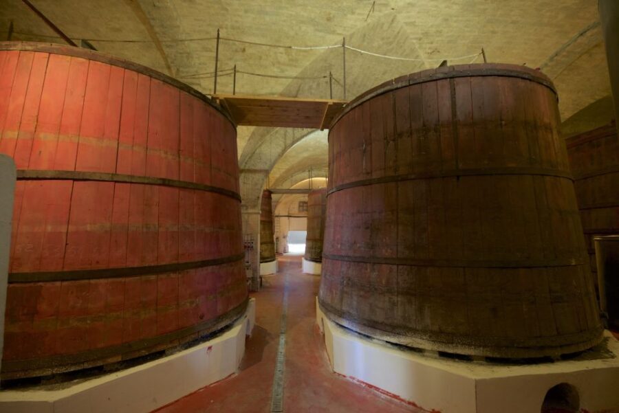 Abruzzo: Historic Cellar Wine Tour and Tasting - Why This Tour Stands Out