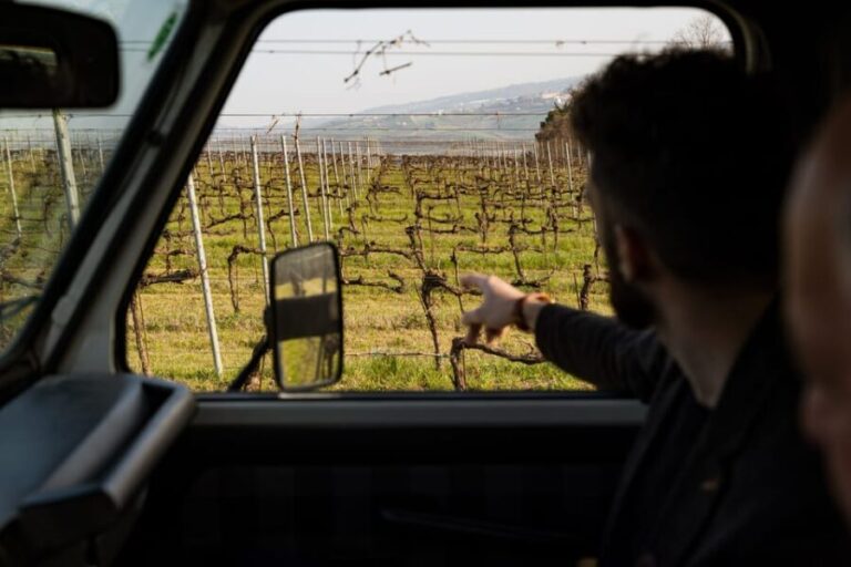 Abruzzo: Vineyard Jeep Tour with Tastings - Practical Tips for Travelers