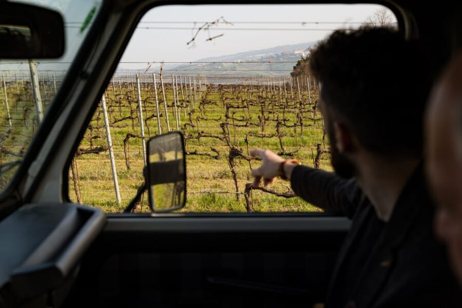 Abruzzo: Vineyard Jeep Tour with Tastings - Practical Tips for Travelers