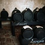 Acetaia Classica: Balsamic Vinegar Factory Tour & Tasting - The Tasting Experience