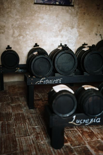 Acetaia Classica: Balsamic Vinegar Factory Tour & Tasting - The Tasting Experience