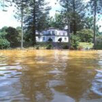 Adapted Van tour - Furnas (Full day) - A Deep Dive Into the Experience