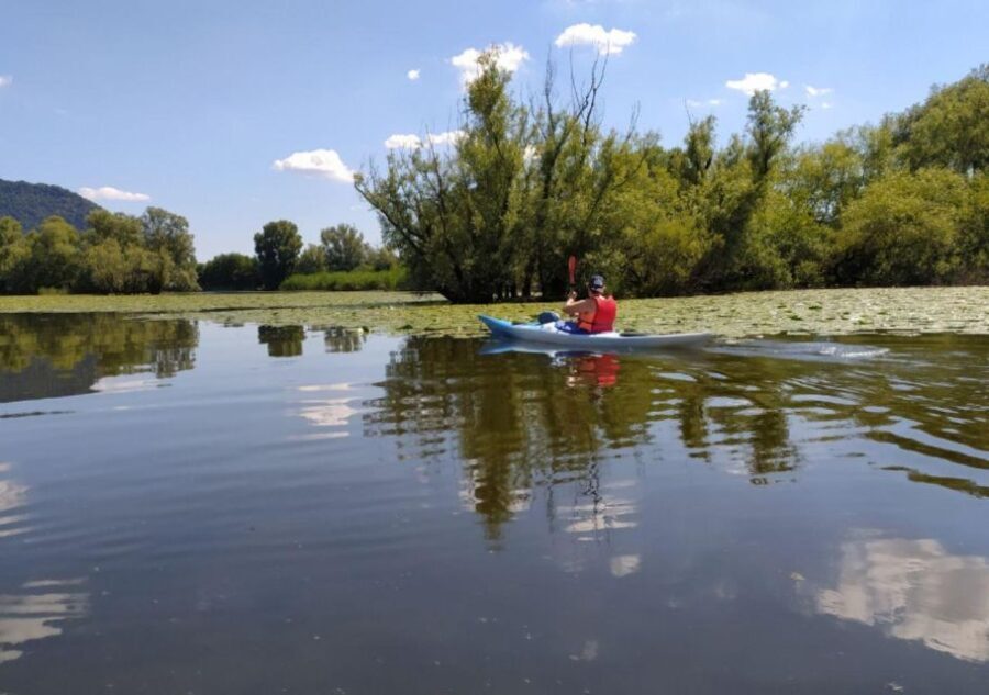 Adda River: Half day Kayak Trip - What to Expect During the Trip