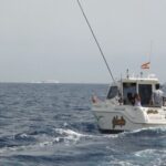 Adeje: 3.5Hour Professional Fishing Experience - Who Will Love This Tour?