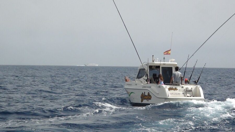 Adeje: 3.5Hour Professional Fishing Experience - Who Will Love This Tour?