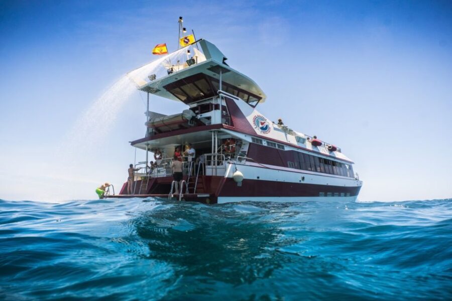 Adeje: Whale and Dolphin Watching Cruise with Lunch and Swim - Food & Drinks