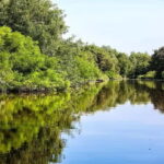 Adventure Tour In Georgia From Kutaisi - Logistic Details and Practical Considerations
