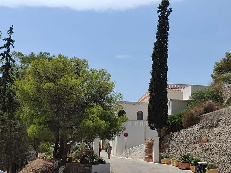 Aegina: Agios Nektarios Monastery and Paliachora Tour - The Details That Make a Difference