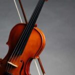 Afternoon Access to Accademia Gallery: David & Stradivarius - Who Is This Tour Best For?