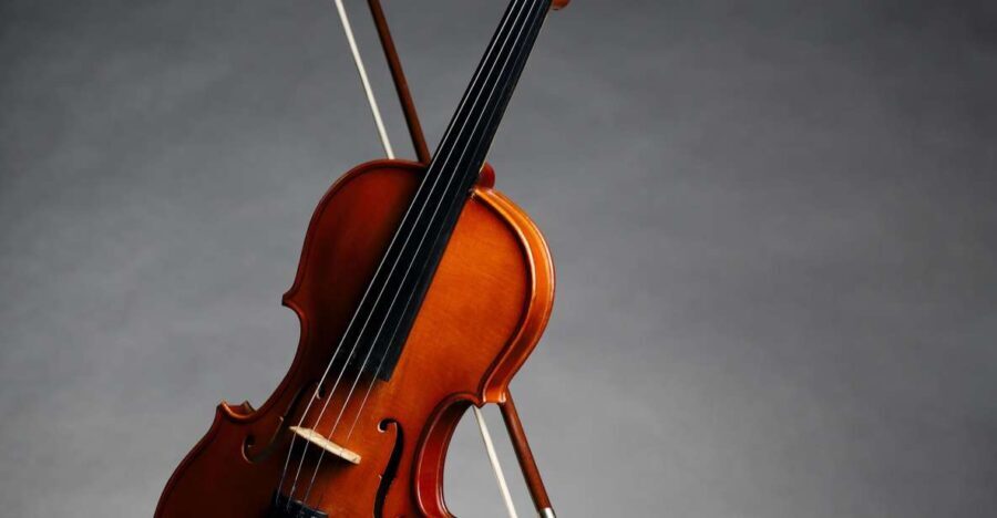 Afternoon Access to Accademia Gallery: David & Stradivarius - Who Is This Tour Best For?