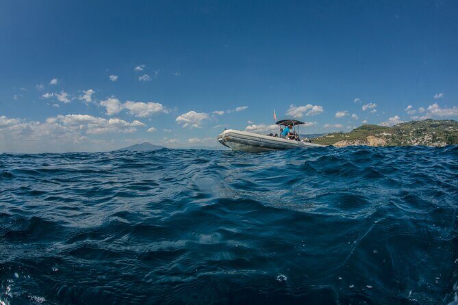 Afternoon snorkelling guided by a marine biologist in Sorrento - The Practical Side: Pricing, Group Size, and Booking