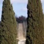 Afternoon Tour of the Chianti Wine Region in Tuscany - The Value of the Experience