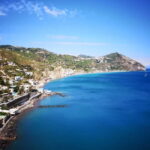 Afternoon tour of the island of Ischia by bus - Summary: Who Should Book This Tour?