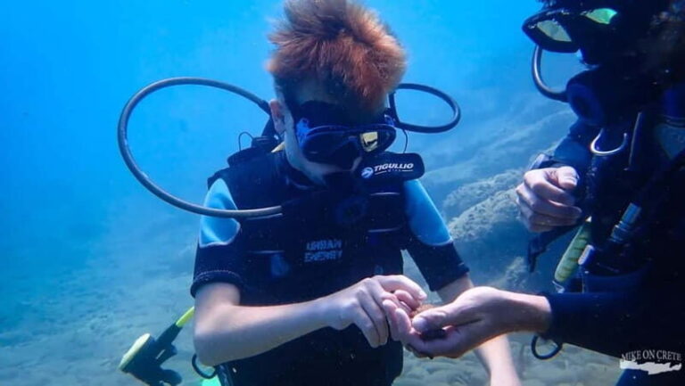 Agia Pelagia: Scuba Diving Activity for Children - What to Expect on the Day