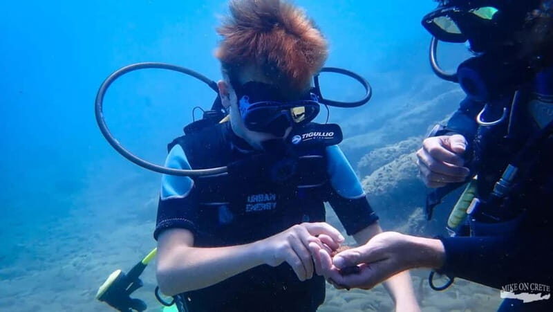 Agia Pelagia: Scuba Diving Activity for Children - What to Expect on the Day