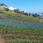 Agriculture Green Tour - An Authentic, Personal Experience