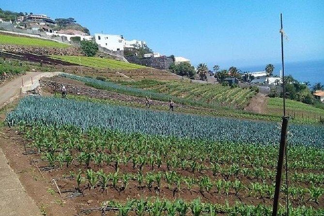Agriculture Green Tour - An Authentic, Personal Experience