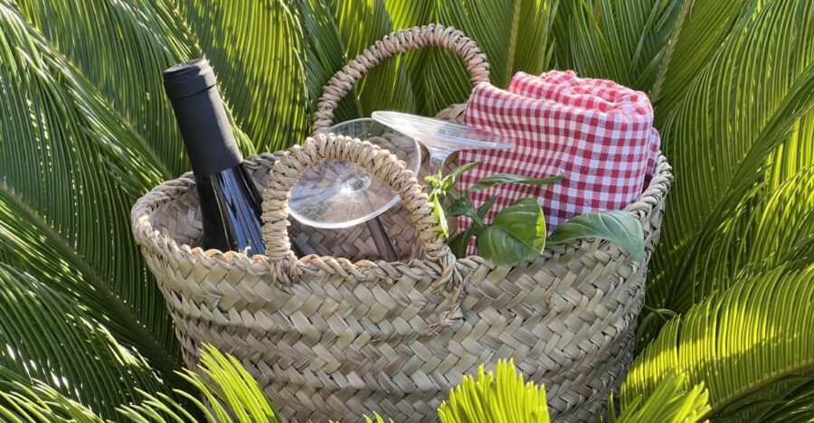 Agrigento: Valley of the Temples Gardens Picnic Experience - What to Expect During the Experience