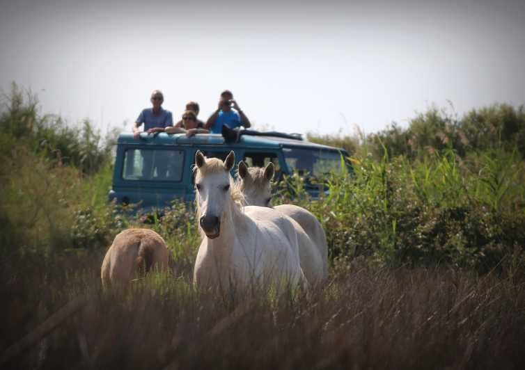 Aigues Mortes: Jeep Photo Safari in Camargue - The Experience from Real Travelers