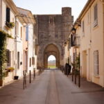 Aigues-Mortes: Private Guided Tour of city + Constance Tower - The Practical Details