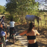 Aigues Mortes: safari en vélo - Ebike tour in Camargue - Why the Guided Experience Matters