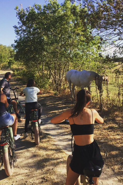 Aigues Mortes: safari en vélo - Ebike tour in Camargue - Why the Guided Experience Matters