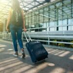 Airport shuttle service for Kayseri/Nevsehir Airport - What to Expect During Your Transfer