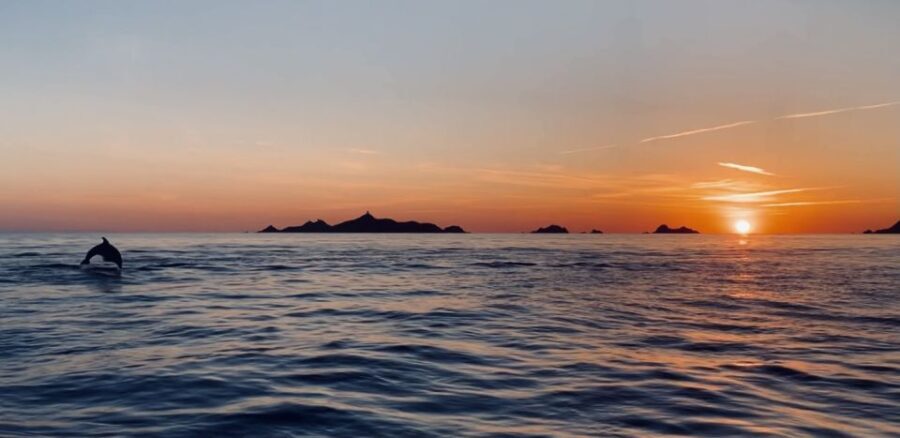Ajaccio/Porticcio: Sanguinaires Islands Sunset Tour&Aperitif - Who Is This Tour Best For?