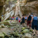 Akamas Jeep Safari Tour from Paphos - What To Expect on the Tour
