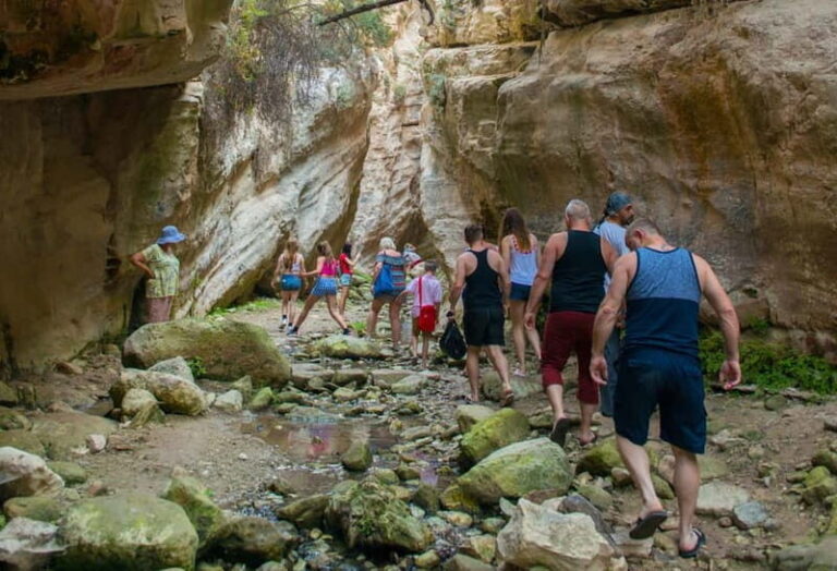 Akamas Jeep Safari Tour from Paphos - What To Expect on the Tour