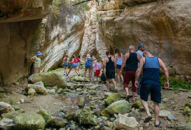 Akamas Jeep Safari Tour from Paphos - What To Expect on the Tour