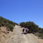 Akamas Panorama Walk (usually Adonis&Aphrodite combo) - What Makes This Walk Stand Out?