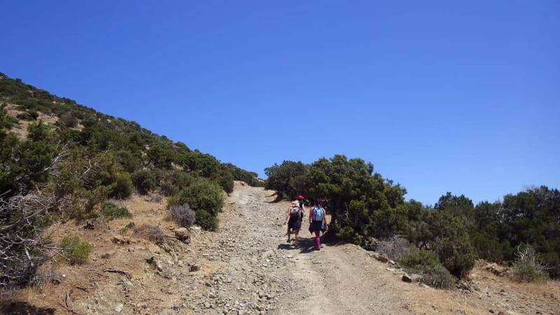 Akamas Panorama Walk (usually Adonis&Aphrodite combo) - What Makes This Walk Stand Out?