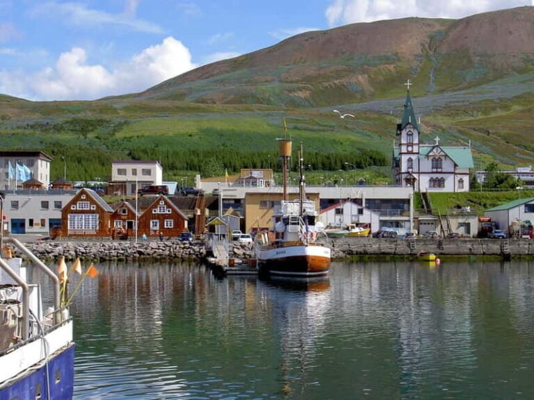 Akureyri: Diamond Circle & Lunch (Dettifoss-Myvatn-Godafoss) - What’s Included and How the Logistics Matter